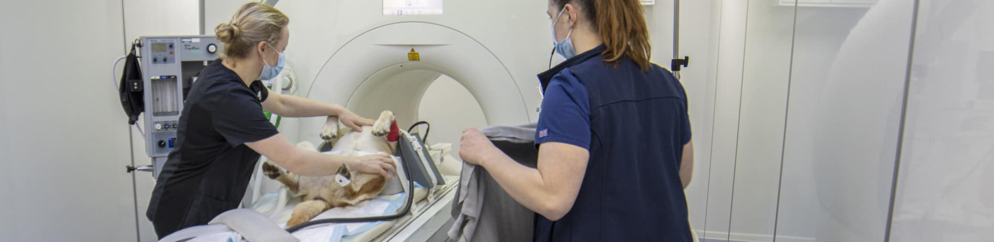 Veterinary CT & MRI - Probo Medical UK
